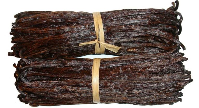 Know Your Vanilla Beans: Grading, Species, Country of Origin