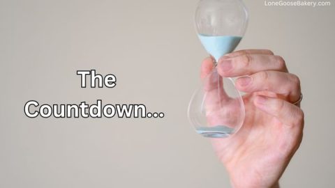 Best Vanilla Beans for Extract | The Top 3 BEST