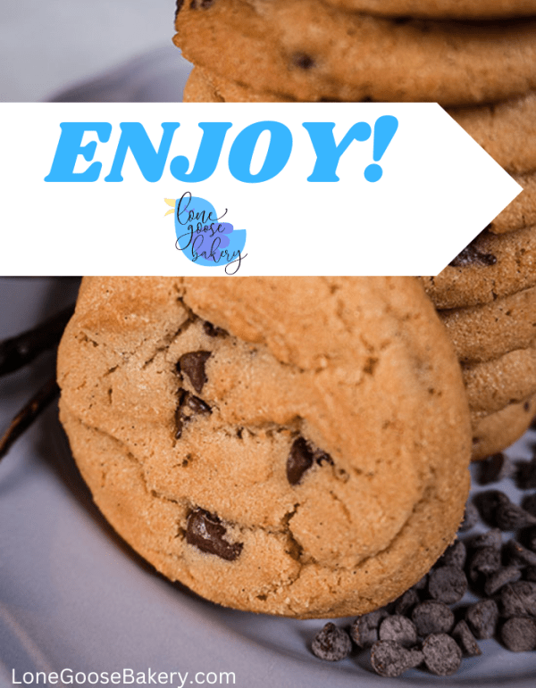 Madagascar Vanilla Chocolate Chip Cookies